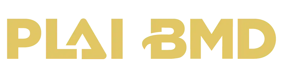 Sejarah Politeknik AI BMD